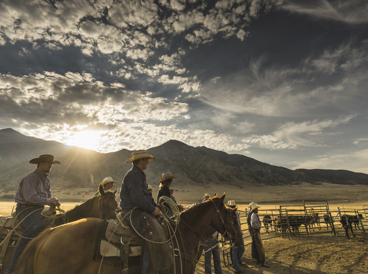 News Detail | NAU Country Insurance Company